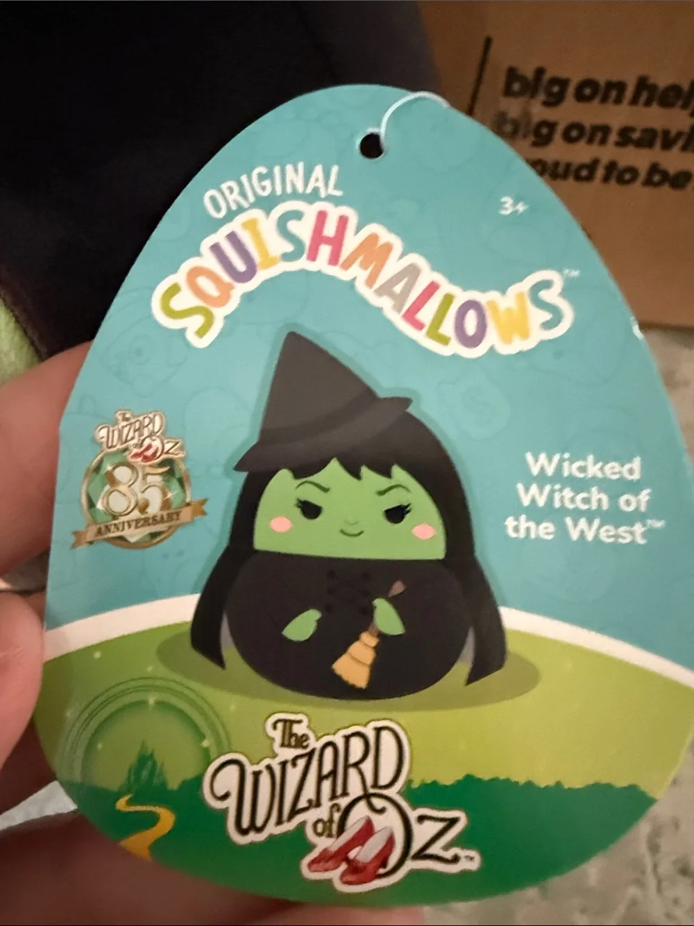 Squishmallows | Costumes | Squishmallows Wizard Of Oz Witch | Poshmark